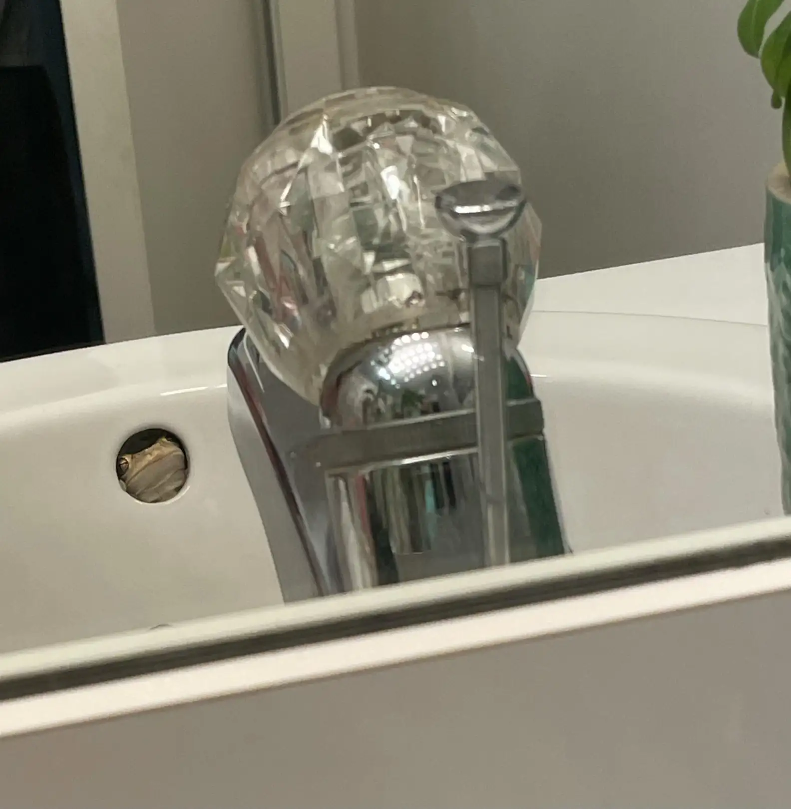 Woman Finds Tiny Eyes Staring from Sink, Frog Becomes Viral Star