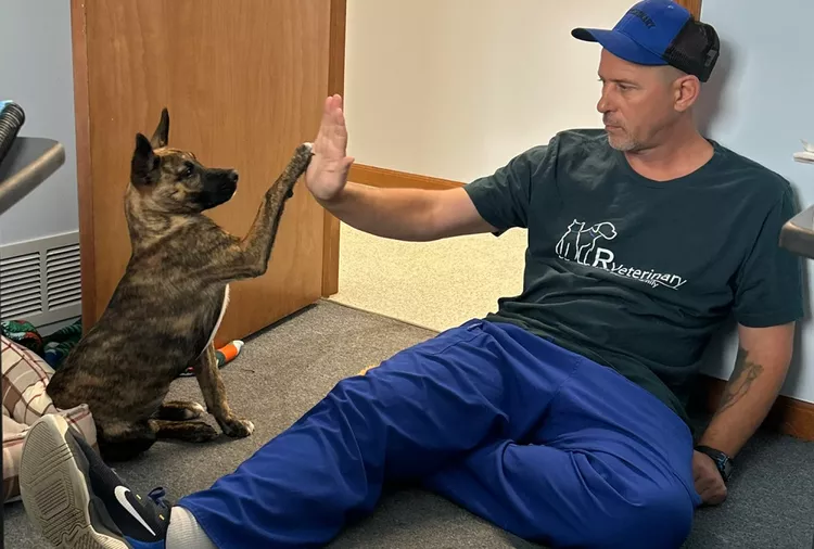 From Puppies for Parole to Vet Tech—How Dogs Changed a Former Inmate's ...