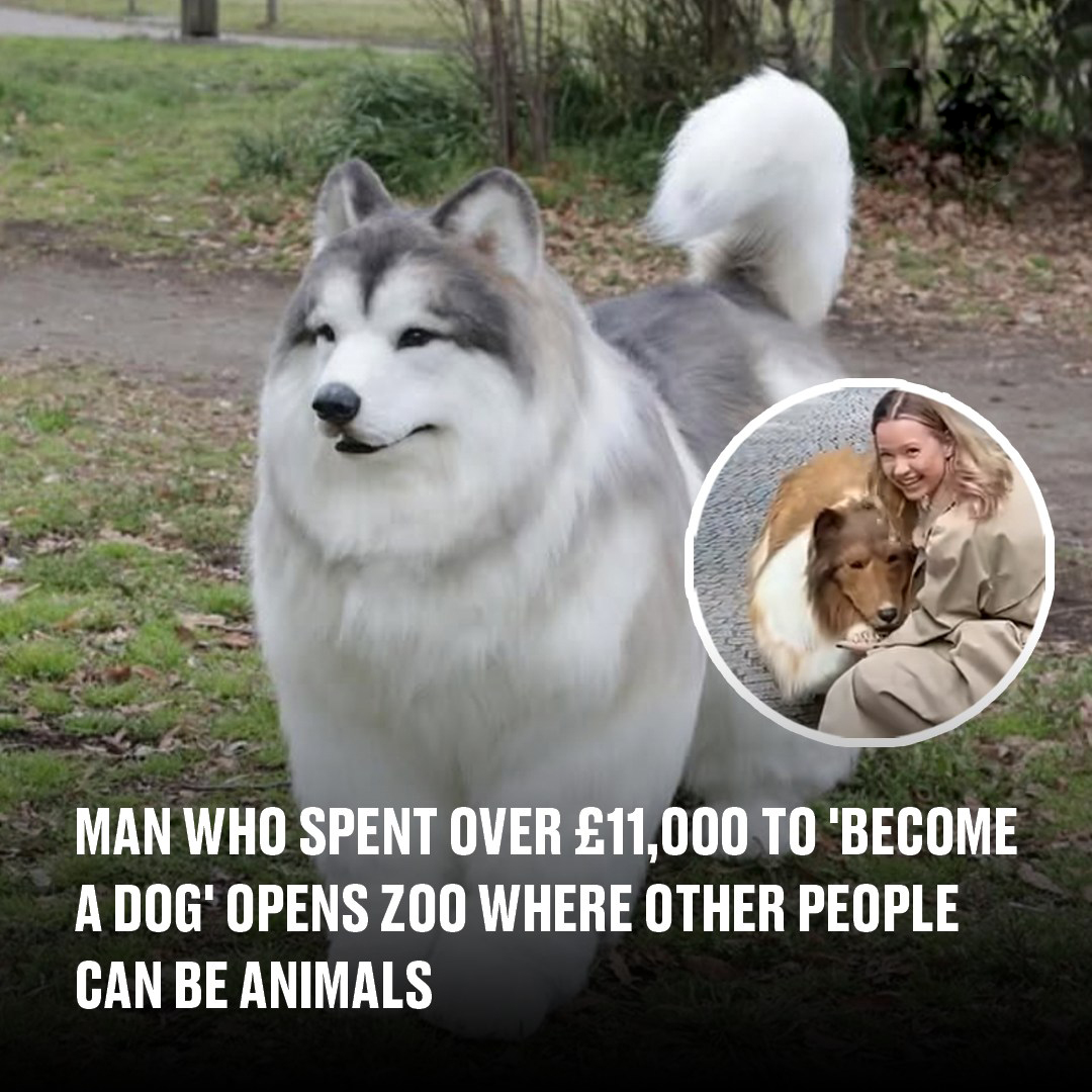 Man who spent over £11,000 to 'become a dog' opens zoo where other ...
