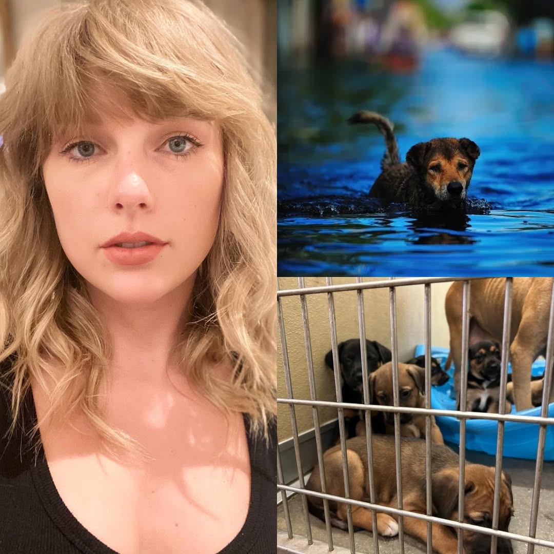 💔 Taylor Swift’s $30 Million Flood Donation Is Saving Lives—and Healing ...